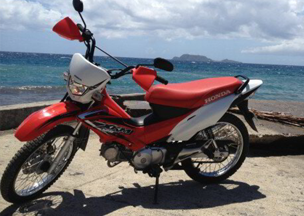 Beagle Tracking Solutions