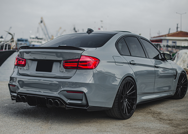 Beagle Tracking Solutions